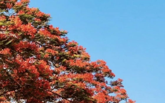 Beautiful Hell – 20th June 2023 – 1994ever